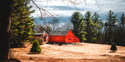 90 Great Things to Do in Massachusetts