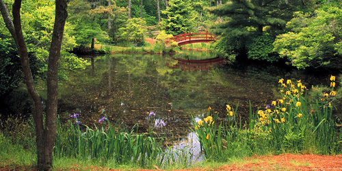 90 Great Things to Do in Massachusetts