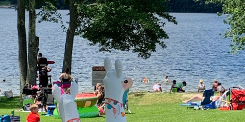 90 Great Things to Do in Massachusetts